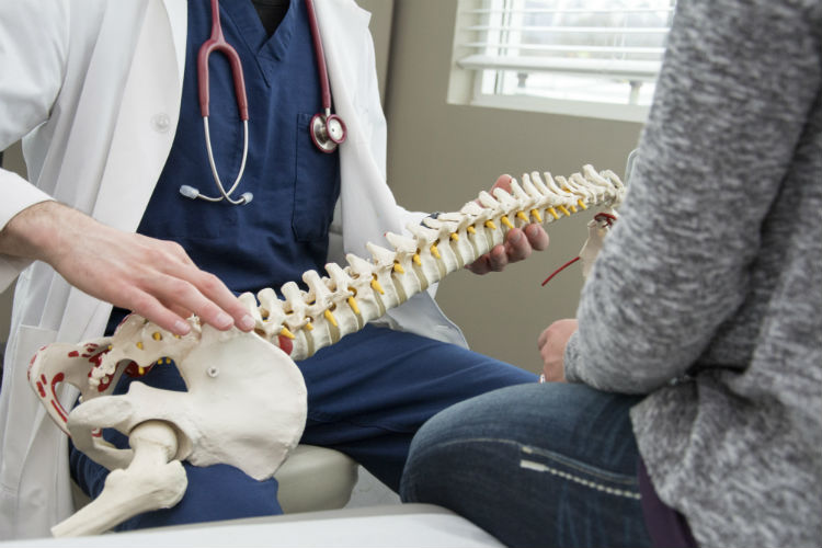 Mastering the musculoskeletal assessment