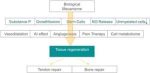 The science behind shock wave therapy for back pain relief